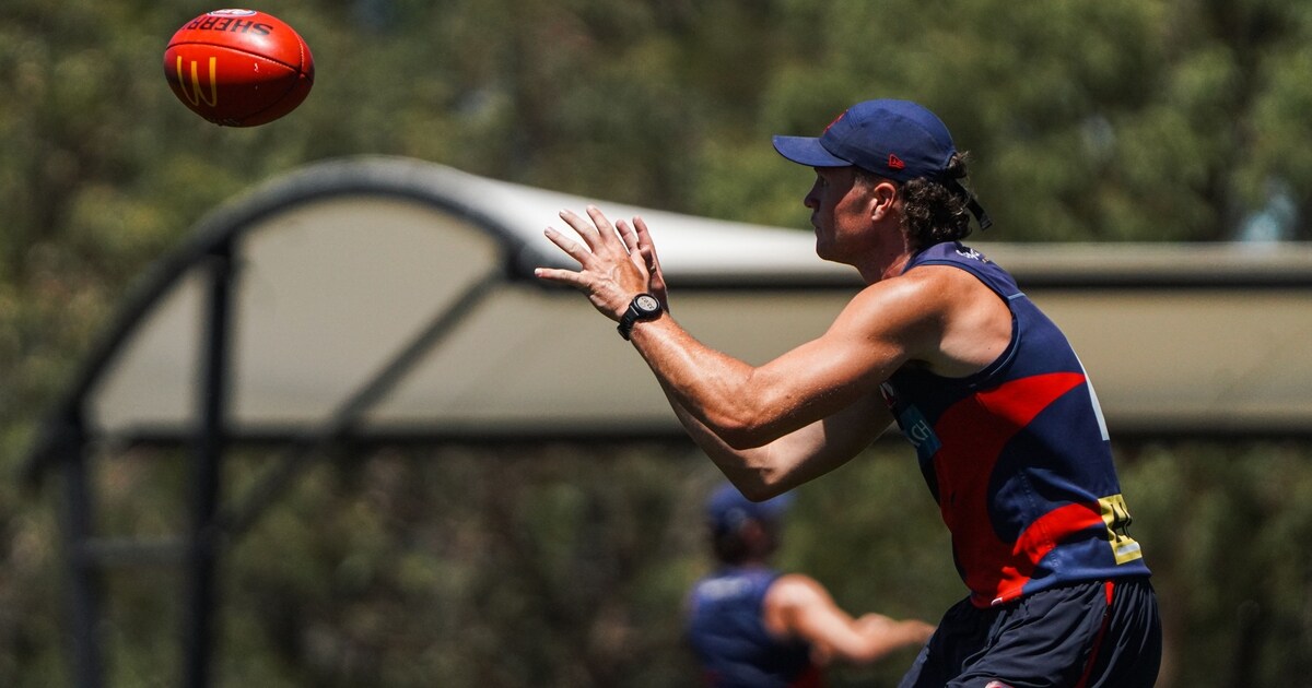 Galleries | Melbourne Football Club